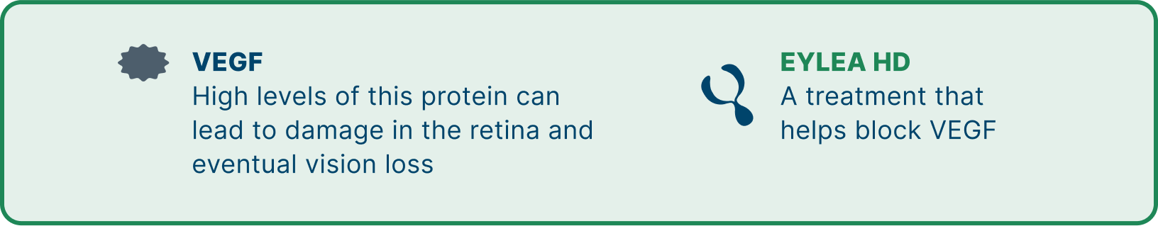 Why EYLEA HD® (aflibercept) for the Treatment of Wet AMD, DME, & DR | EYLEA HD